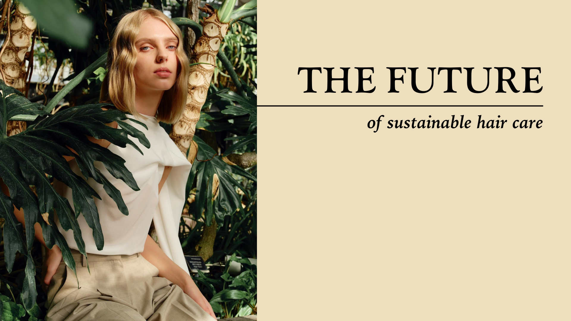 The Future of Sustainable Hair Care: 10 Innovative Hair Products to ...